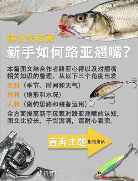 翘嘴鱼怎么钓_翘嘴鱼用什么饵最好-第3张图片-山城妙识