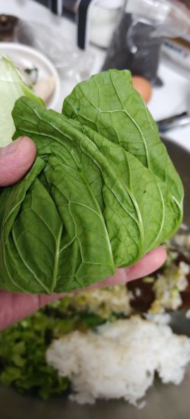 东北菜包饭怎么做_正宗东北菜包饭做法-第1张图片-山城妙识