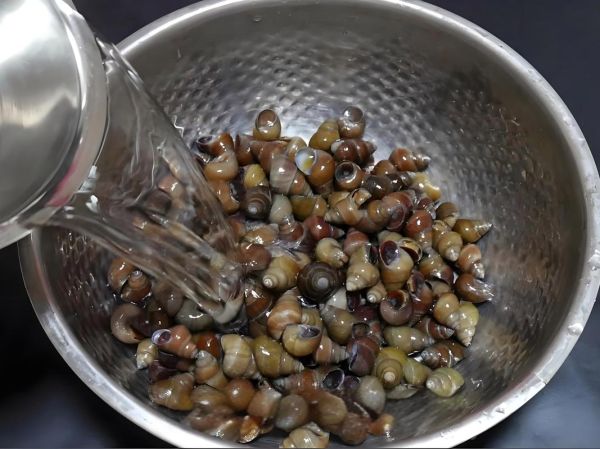 田螺怎么清洗才干净_田螺的家常做法步骤-第3张图片-山城妙识