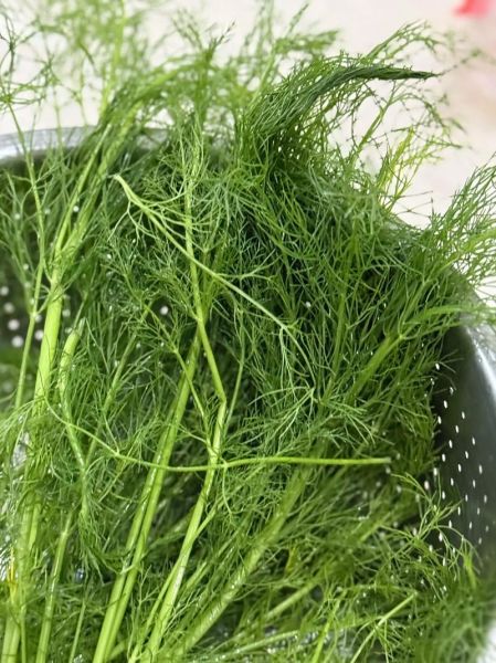 牛肉茴香饺子馅怎么做_牛肉茴香饺子馅的做法窍门-第2张图片-山城妙识