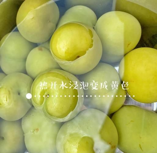 李子酱怎么做_李子酱保存多久-第1张图片-山城妙识