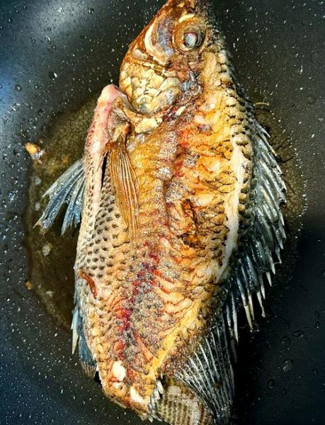 清蒸罗非鱼怎么做_清蒸罗非鱼蒸几分钟才嫩-第1张图片-山城妙识