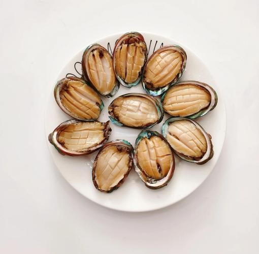 清蒸鲍鱼怎么做好吃_清蒸鲍鱼蒸几分钟-第1张图片-山城妙识 清蒸鲍鱼怎么做好吃_清蒸鲍鱼蒸几分钟-第1张图片-山城妙识