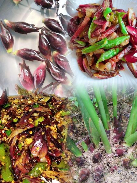 洋荷怎么炒好吃_洋荷的家常做法-第1张图片-山城妙识 洋荷怎么炒好吃_洋荷的家常做法-第1张图片-山城妙识