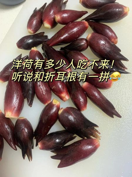 洋荷怎么炒好吃_洋荷的家常做法-第2张图片-山城妙识 洋荷怎么炒好吃_洋荷的家常做法-第2张图片-山城妙识