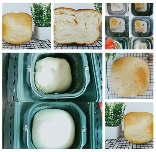 土司面包怎么做_土司面包失败原因-第3张图片-山城妙识 土司面包怎么做_土司面包失败原因-第3张图片-山城妙识