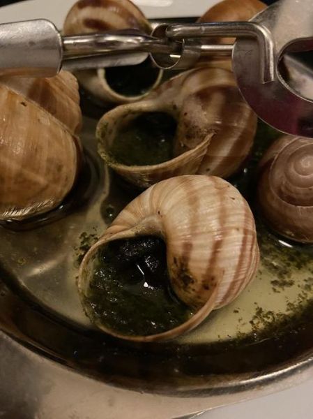 海螺怎么清洗才干净_海螺的家常做法步骤-第3张图片-山城妙识