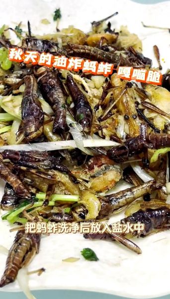 炸蚂蚱怎么做_炸蚂蚱怎么做好吃-第2张图片-山城妙识