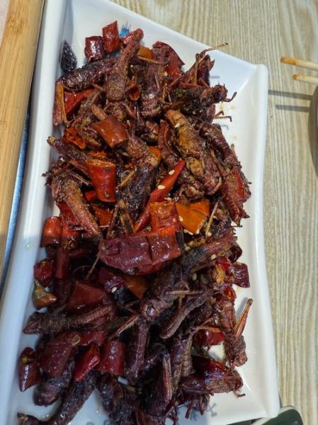 炸蚂蚱怎么做_炸蚂蚱怎么做好吃-第3张图片-山城妙识