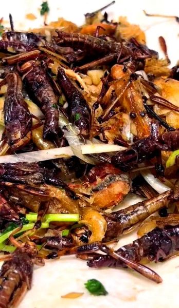 炸蚂蚱怎么做_炸蚂蚱怎么做好吃-第1张图片-山城妙识