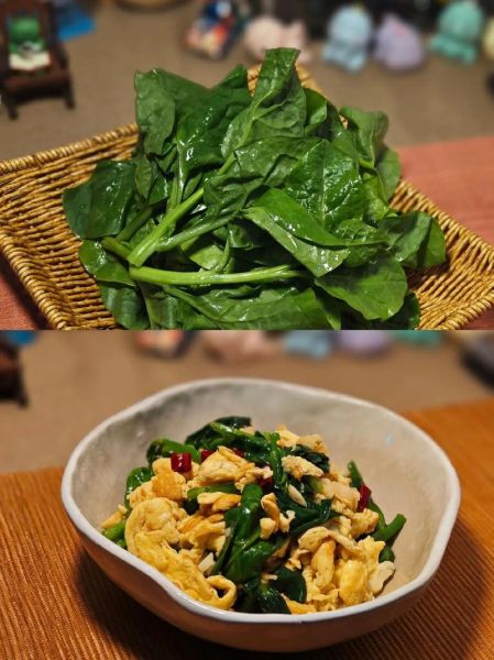 蒜蓉木耳菜怎么做_蒜蓉木耳菜焯水多久-第2张图片-山城妙识