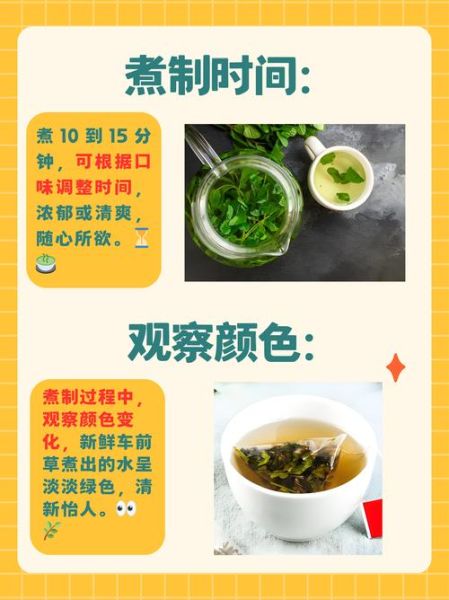 车前草怎么煮水_车前草煮水的正确做法-第1张图片-山城妙识