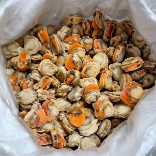 冷冻扇贝肉怎么做好吃_冷冻扇贝肉的家常做法-第1张图片-山城妙识