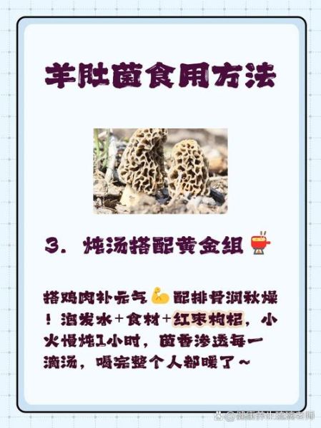 羊肚怎么清洗_羊肚怎么做好吃-第2张图片-山城妙识