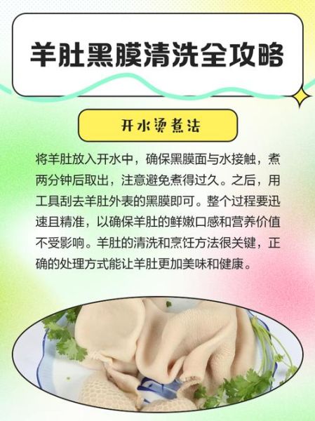 羊肚怎么清洗_羊肚怎么做好吃-第3张图片-山城妙识