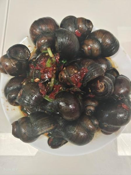 炒田螺怎么清洗才干净_家常炒田螺要不要焯水-第3张图片-山城妙识 炒田螺怎么清洗才干净_家常炒田螺要不要焯水-第3张图片-山城妙识