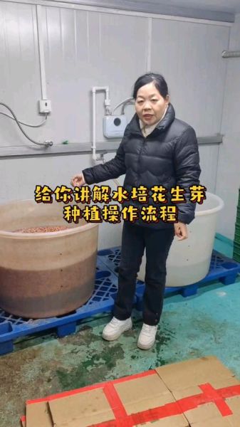 花生芽怎么种_花生芽的做法步骤-第1张图片-山城妙识 花生芽怎么种_花生芽的做法步骤-第1张图片-山城妙识