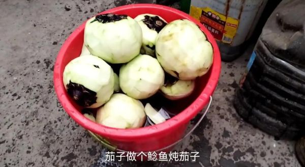 鲶鱼炖茄子怎么做_鲶鱼炖茄子用不用焯水-第2张图片-山城妙识
