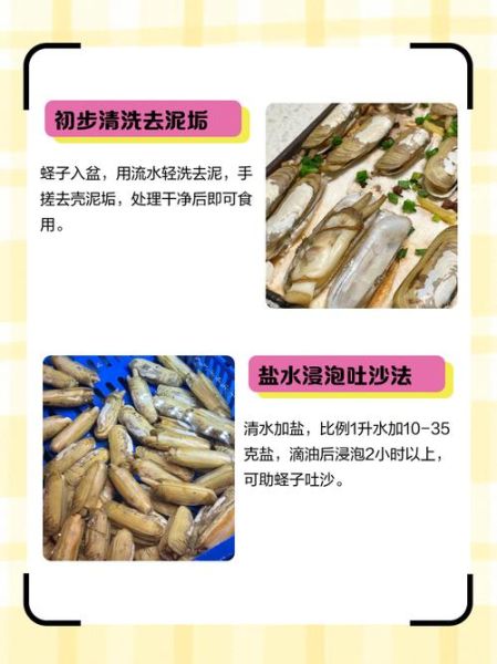 蛏子怎么清洗_蛏子怎么做最好吃-第1张图片-山城妙识 蛏子怎么清洗_蛏子怎么做最好吃-第1张图片-山城妙识