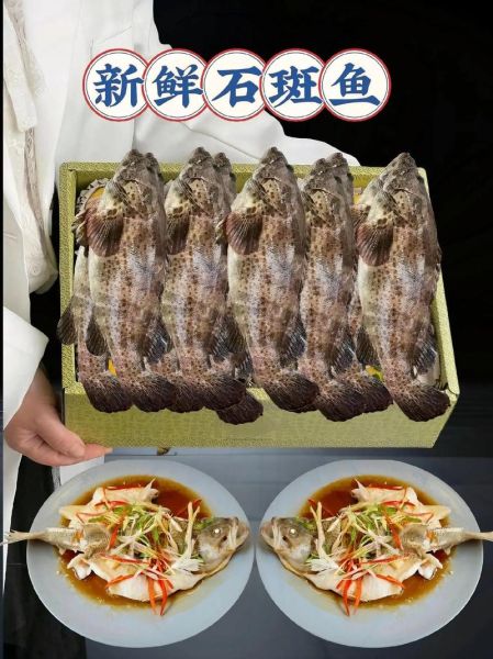 石斑鱼怎么清蒸好吃_石斑鱼家常做法大全-第2张图片-山城妙识 石斑鱼怎么清蒸好吃_石斑鱼家常做法大全-第2张图片-山城妙识