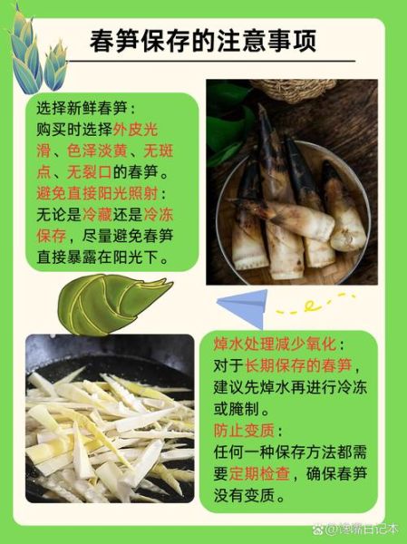 新鲜竹笋怎么做好吃_新鲜竹笋焯水几分钟-第3张图片-山城妙识 新鲜竹笋怎么做好吃_新鲜竹笋焯水几分钟-第3张图片-山城妙识