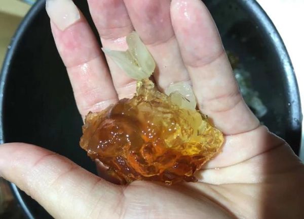 桃胶的做法_桃胶怎么泡发-第1张图片-山城妙识