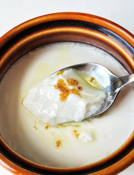 酥酪的做法_家庭自制酥酪怎么做-第3张图片-山城妙识 酥酪的做法_家庭自制酥酪怎么做-第3张图片-山城妙识