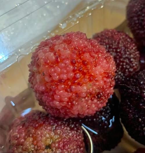 杨梅不用盐水泡有事吗_杨梅不泡盐水能吃吗-第1张图片-山城妙识