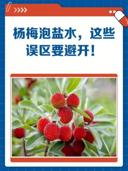 杨梅不用盐水泡有事吗_杨梅不泡盐水能吃吗-第3张图片-山城妙识