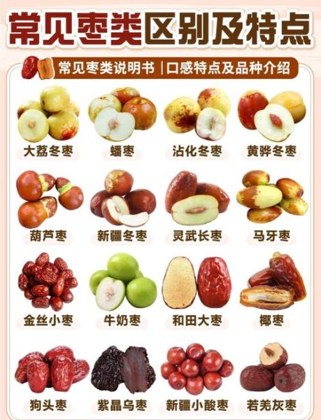 冬枣的营养价值及功效与作用_冬枣一天吃几个最好-第1张图片-山城妙识
