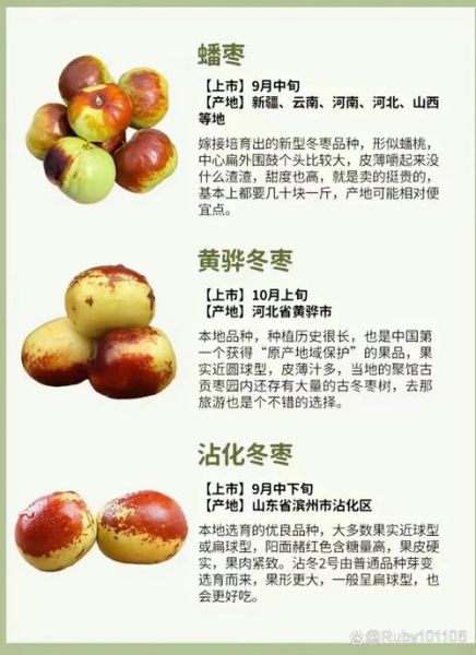 冬枣的营养价值及功效与作用_冬枣一天吃几个最好-第2张图片-山城妙识