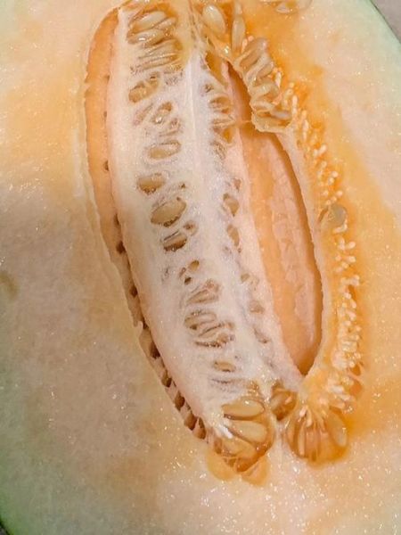 哈密瓜吃多了会怎样_哈密瓜吃多了会上火吗-第1张图片-山城妙识 哈密瓜吃多了会怎样_哈密瓜吃多了会上火吗-第1张图片-山城妙识