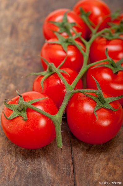 小番茄含糖量高吗_糖尿病人能吃吗-第3张图片-山城妙识