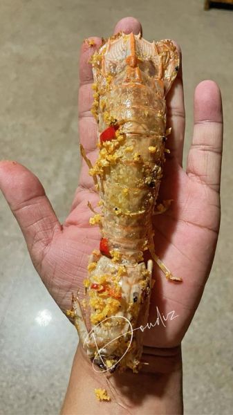 虾菇怎么做好吃_虾菇和皮皮虾的区别-第2张图片-山城妙识 虾菇怎么做好吃_虾菇和皮皮虾的区别-第2张图片-山城妙识