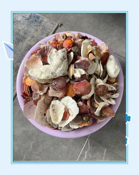 新鲜淡菜怎么吃_淡菜怎么清洗才干净-第2张图片-山城妙识 新鲜淡菜怎么吃_淡菜怎么清洗才干净-第2张图片-山城妙识