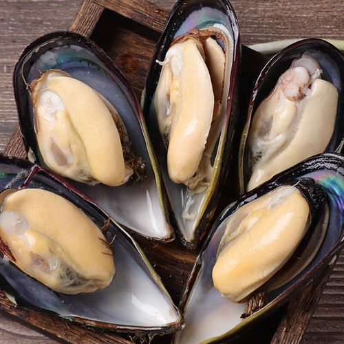 新鲜淡菜怎么吃_淡菜怎么清洗才干净-第1张图片-山城妙识 新鲜淡菜怎么吃_淡菜怎么清洗才干净-第1张图片-山城妙识