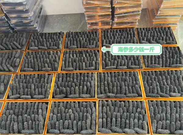 海参价格是多少钱一盒_海参多少钱一盒才正常-第1张图片-山城妙识 海参价格是多少钱一盒_海参多少钱一盒才正常-第1张图片-山城妙识