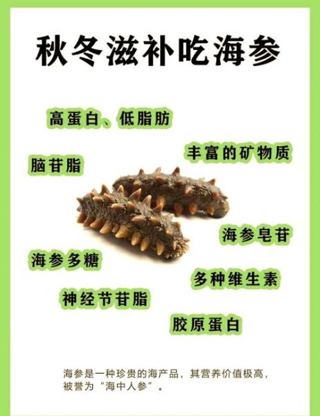 海参价格是多少钱一盒_海参多少钱一盒才正常-第2张图片-山城妙识 海参价格是多少钱一盒_海参多少钱一盒才正常-第2张图片-山城妙识
