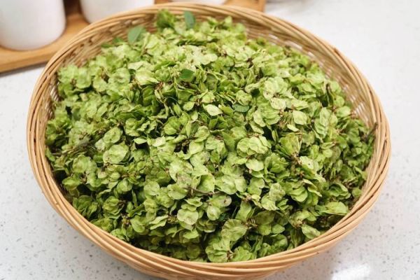 榆钱多少钱一斤_榆钱价格受哪些因素影响-第2张图片-山城妙识