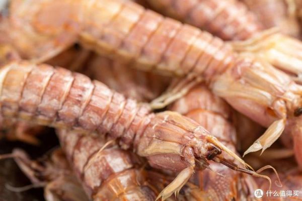 虾姑和皮皮虾的区别_哪个更好吃-第3张图片-山城妙识