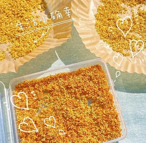 干桂花怎么制作_家庭自制干桂花方法-第2张图片-山城妙识