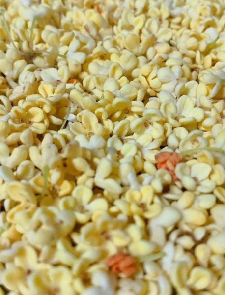 干桂花怎么制作_家庭自制干桂花方法-第1张图片-山城妙识