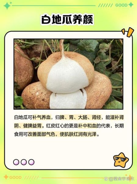 白色的地瓜叫什么学名_白色地瓜与甘薯区别-第2张图片-山城妙识 白色的地瓜叫什么学名_白色地瓜与甘薯区别-第2张图片-山城妙识