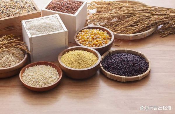 哪种粗粮最减肥_燕麦还是糙米-第3张图片-山城妙识 哪种粗粮最减肥_燕麦还是糙米-第3张图片-山城妙识