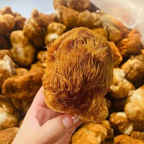 干猴头菇多少钱一斤_干猴头菇价格影响因素-第1张图片-山城妙识 干猴头菇多少钱一斤_干猴头菇价格影响因素-第1张图片-山城妙识