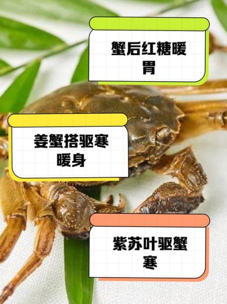 吃螃蟹配什么驱寒_吃螃蟹后怕冷怎么办-第1张图片-山城妙识 吃螃蟹配什么驱寒_吃螃蟹后怕冷怎么办-第1张图片-山城妙识