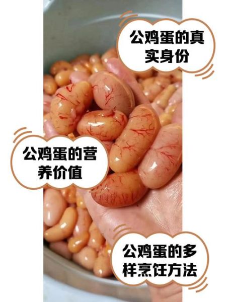 公鸡蛋是什么_公鸡蛋图片真假辨别-第1张图片-山城妙识