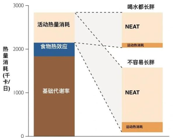 一个人一天正常消耗多少卡路里_如何计算每日总消耗-第3张图片-山城妙识