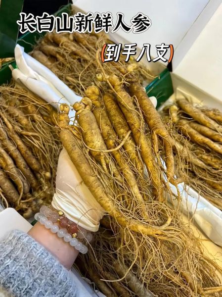 东北人参多少钱一斤_如何挑选正宗东北人参-第1张图片-山城妙识 东北人参多少钱一斤_如何挑选正宗东北人参-第1张图片-山城妙识