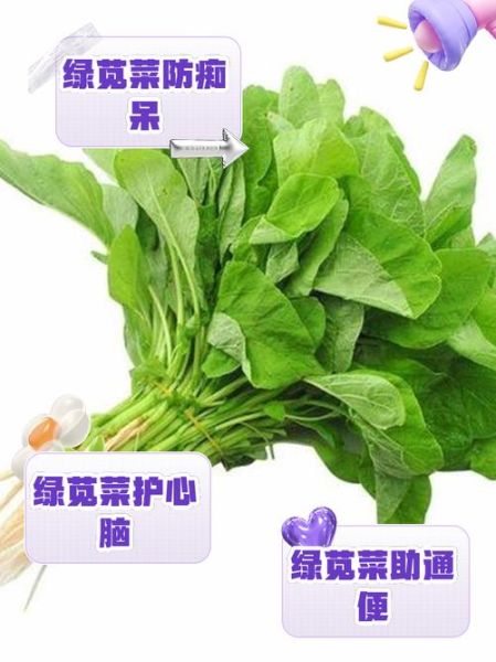 苋菜的功效与作用_苋菜怎么吃最补血-第1张图片-山城妙识